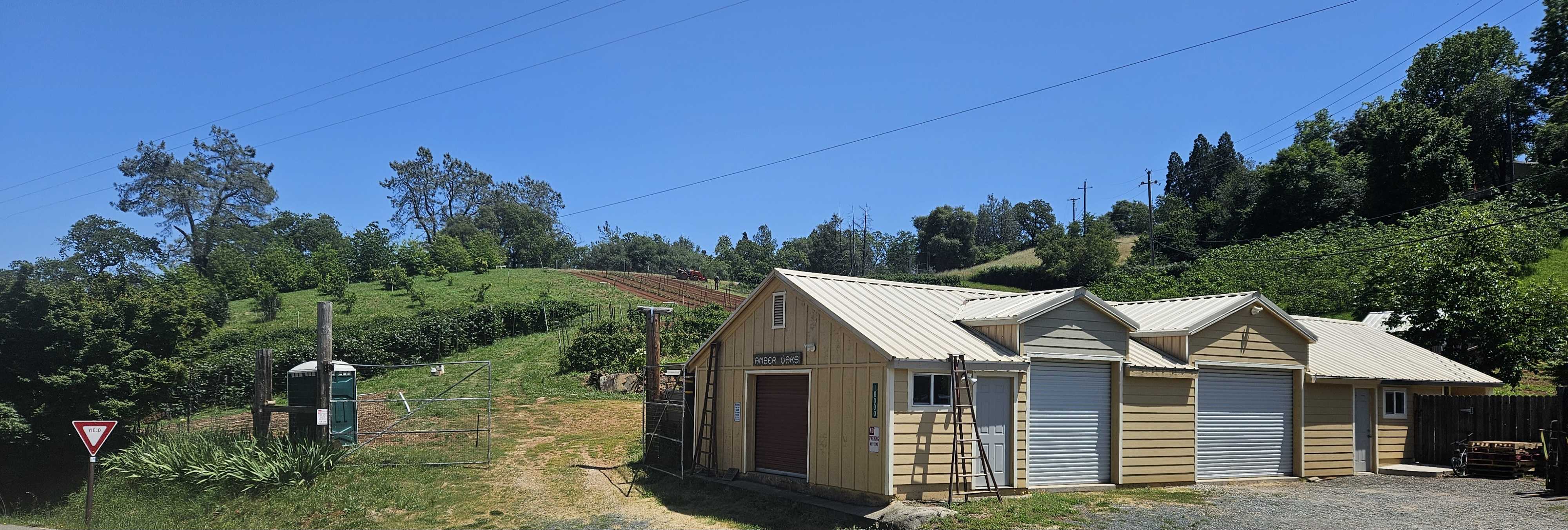 Amber Oaks Berry Farm | A family farm in Auburn California